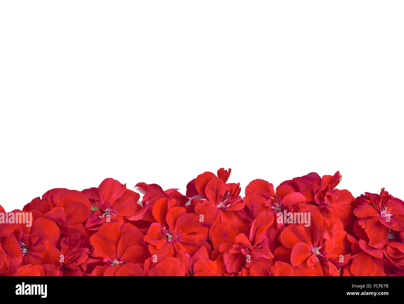 Flower banner hi-res stock photography and images - Alamy