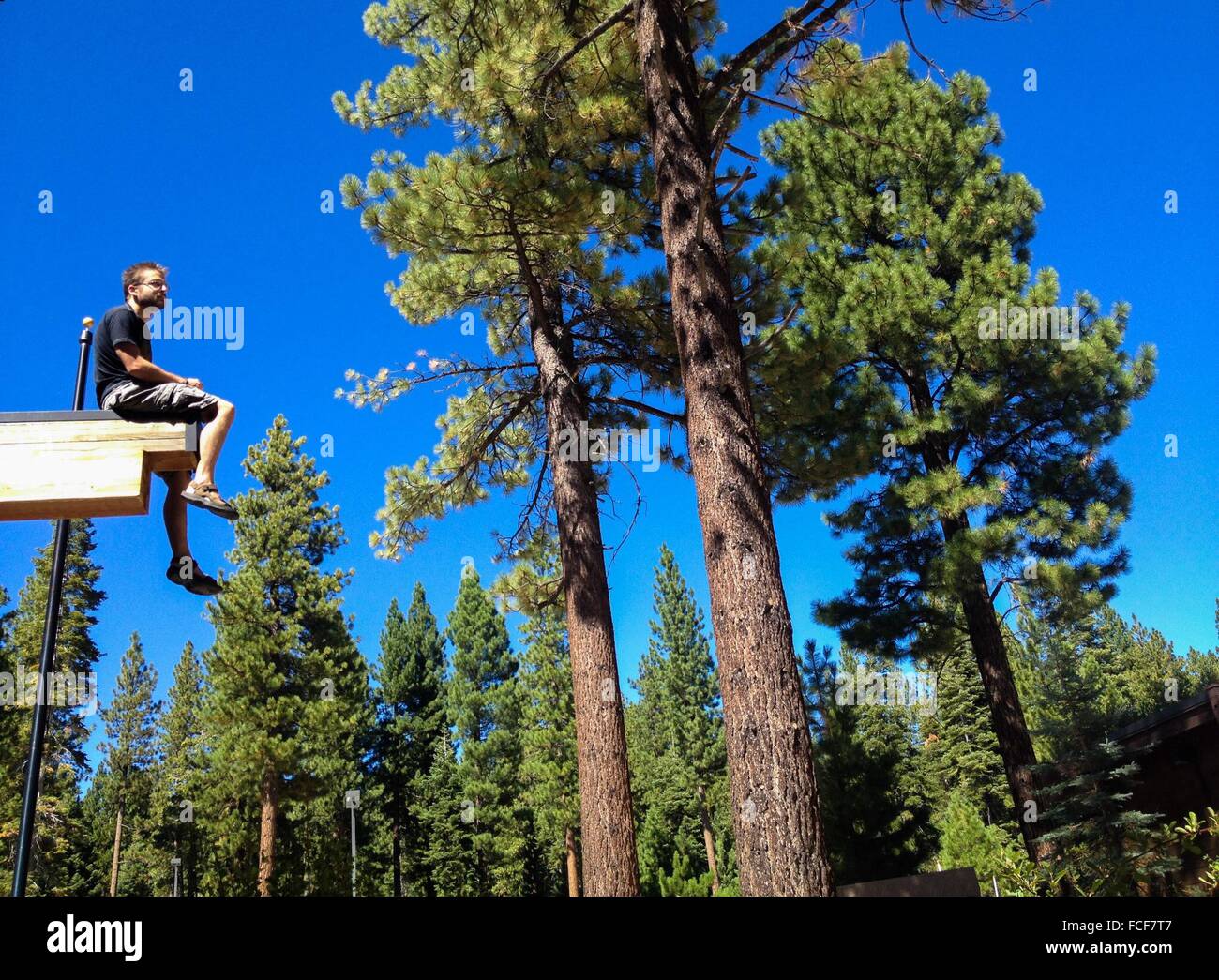 Man Sitting On Log On Stock Photos & Man Sitting On Log On Stock Images ...
