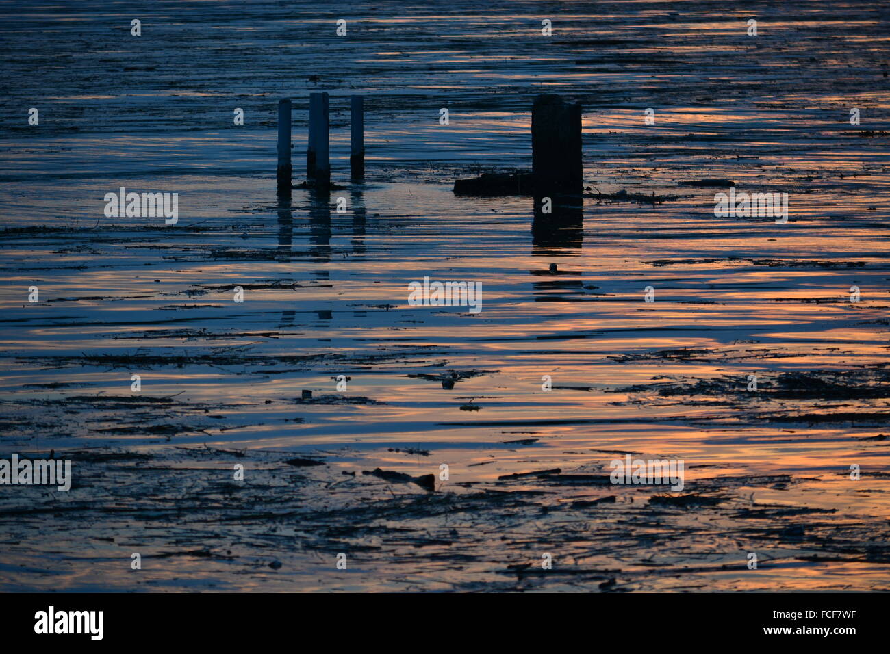Wooden Posts On Beach At Sunset Stock Photo - Alamy