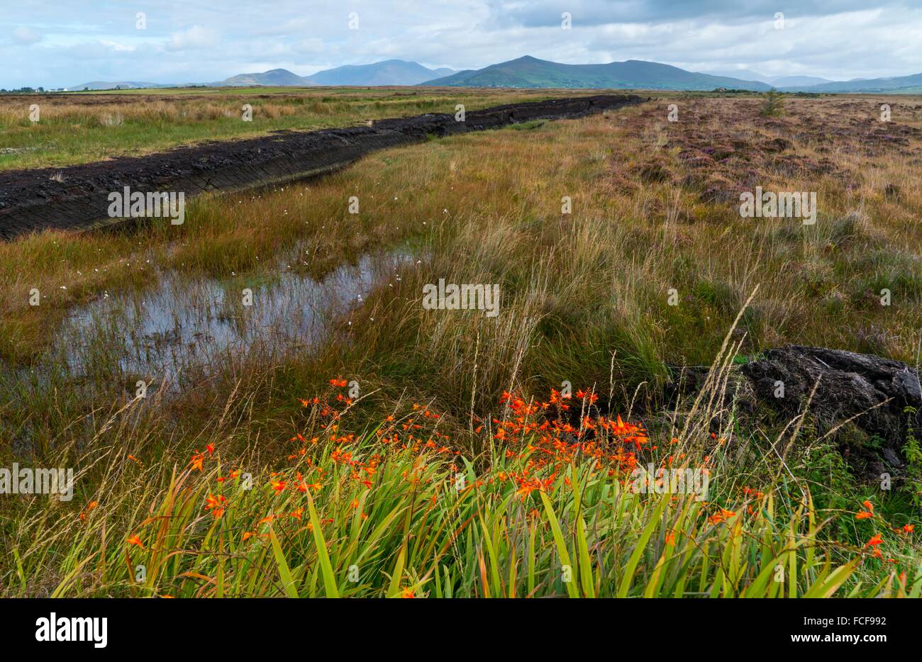 Ireland Peat Extraction High Resolution Stock Photography and Images ...