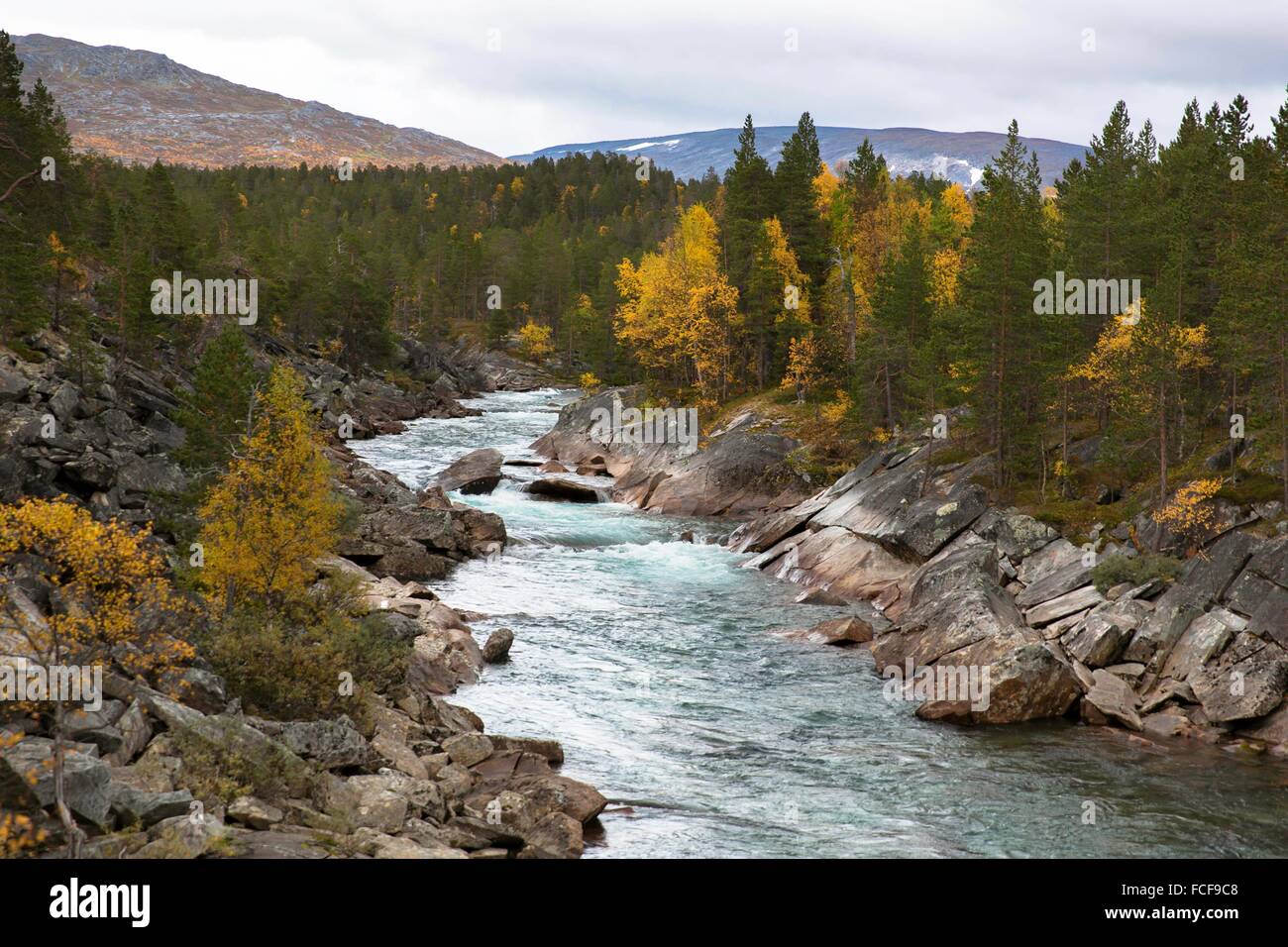 Saltdal river hi-res stock photography and images - Alamy