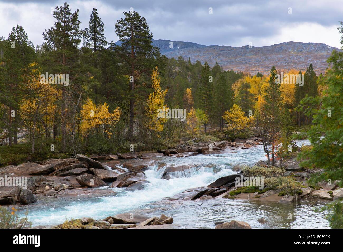 Saltdal river hi-res stock photography and images - Alamy