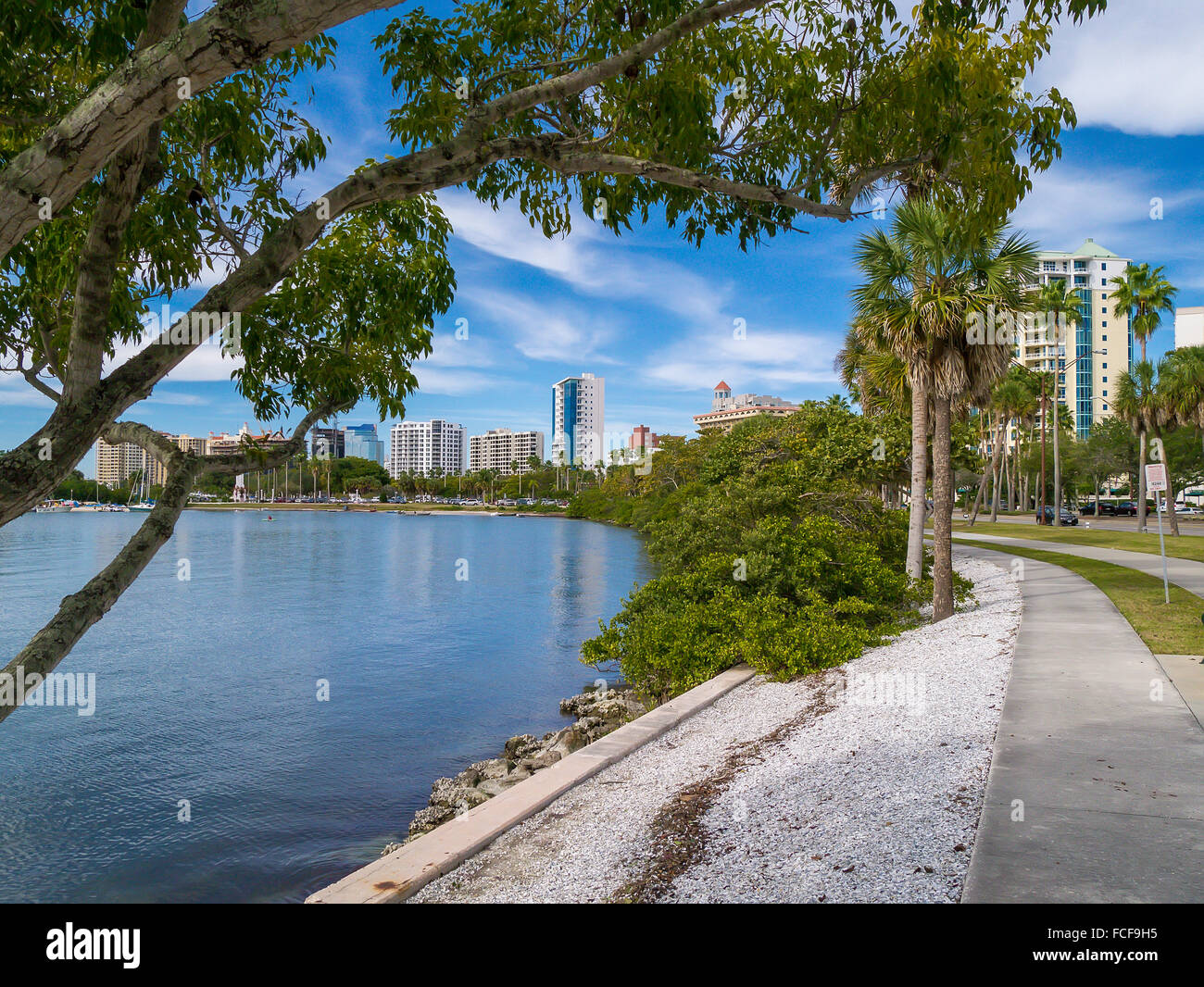 Walking bike path along Sarasota waterfront in Sarasota FLorida Stock ...