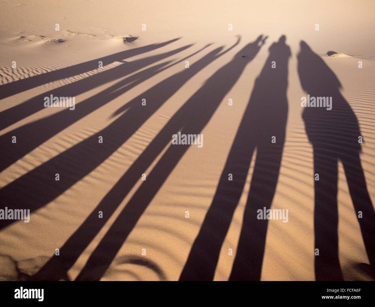 Shadow on desert hi-res stock photography and images - Alamy
