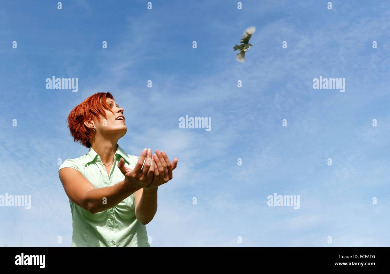 Release Bird High Resolution Stock Photography and Images - Alamy