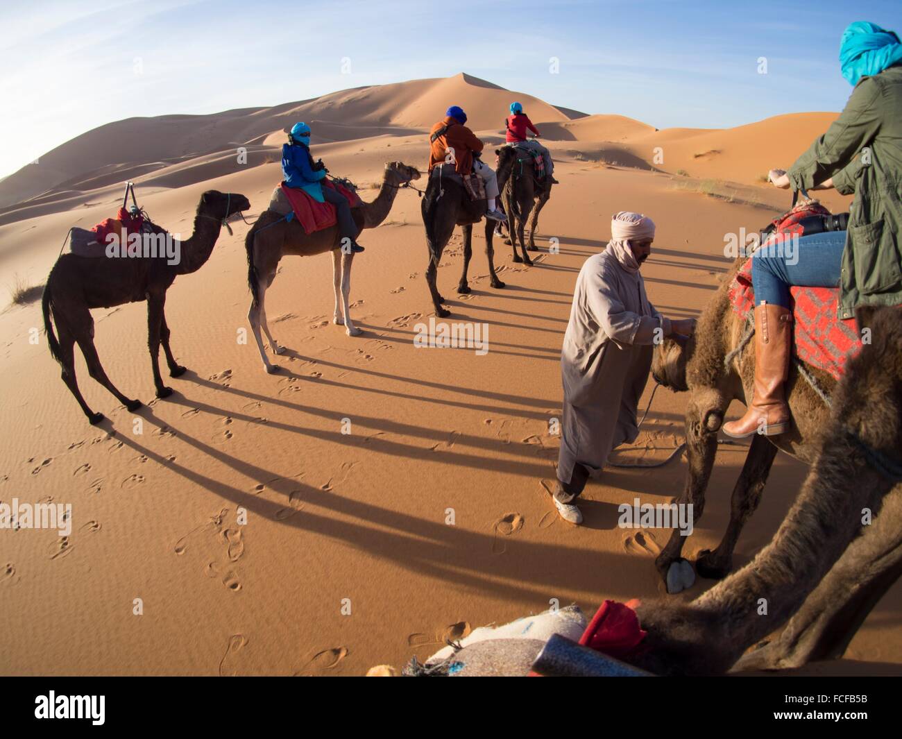 Desert group hi-res stock photography and images - Alamy