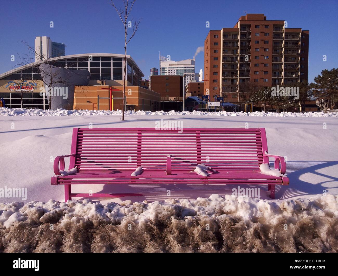 Magenta coloured bench in front of Waterworld, a soon to be shut down ...