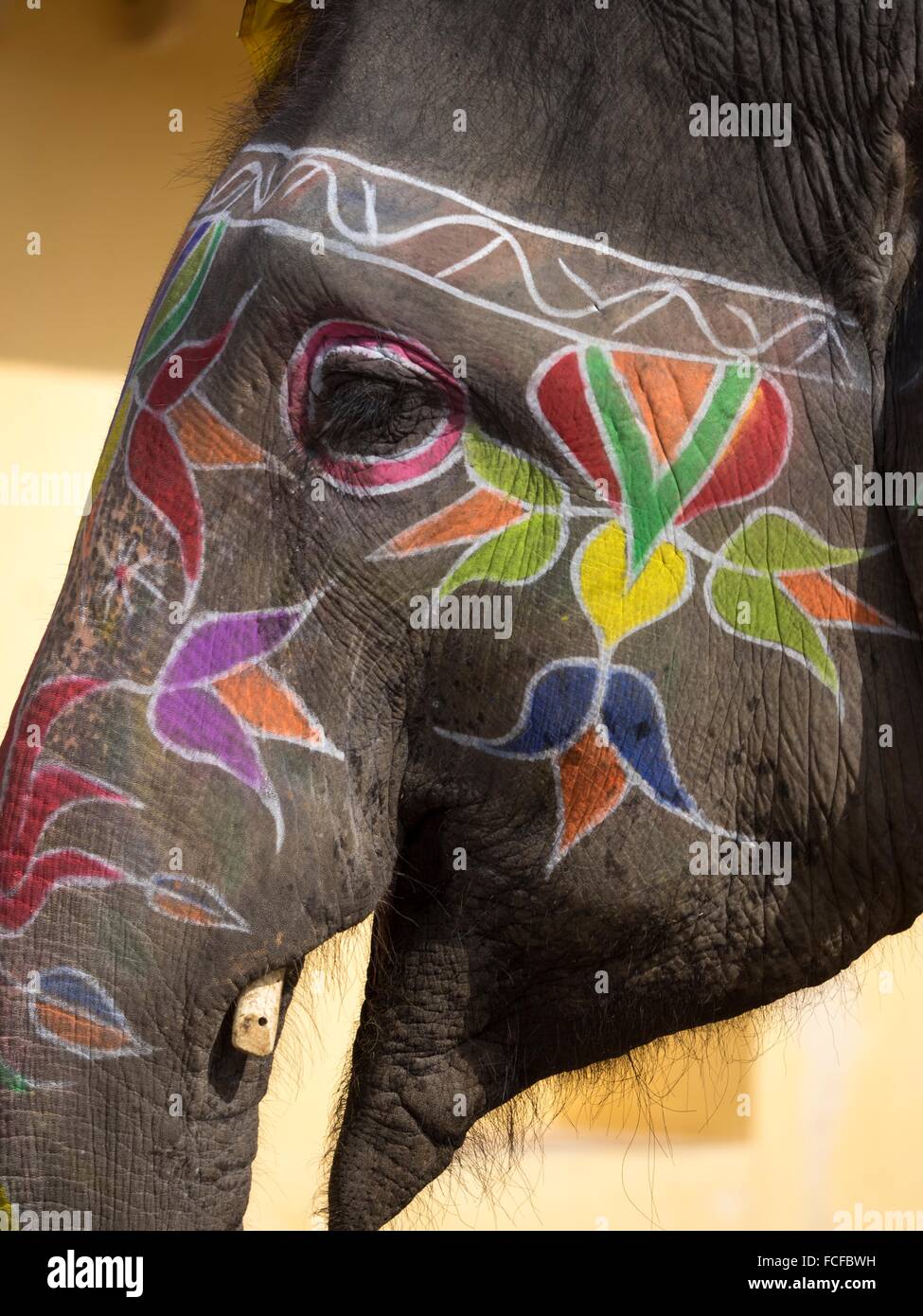 Indian Elephant Face Painting