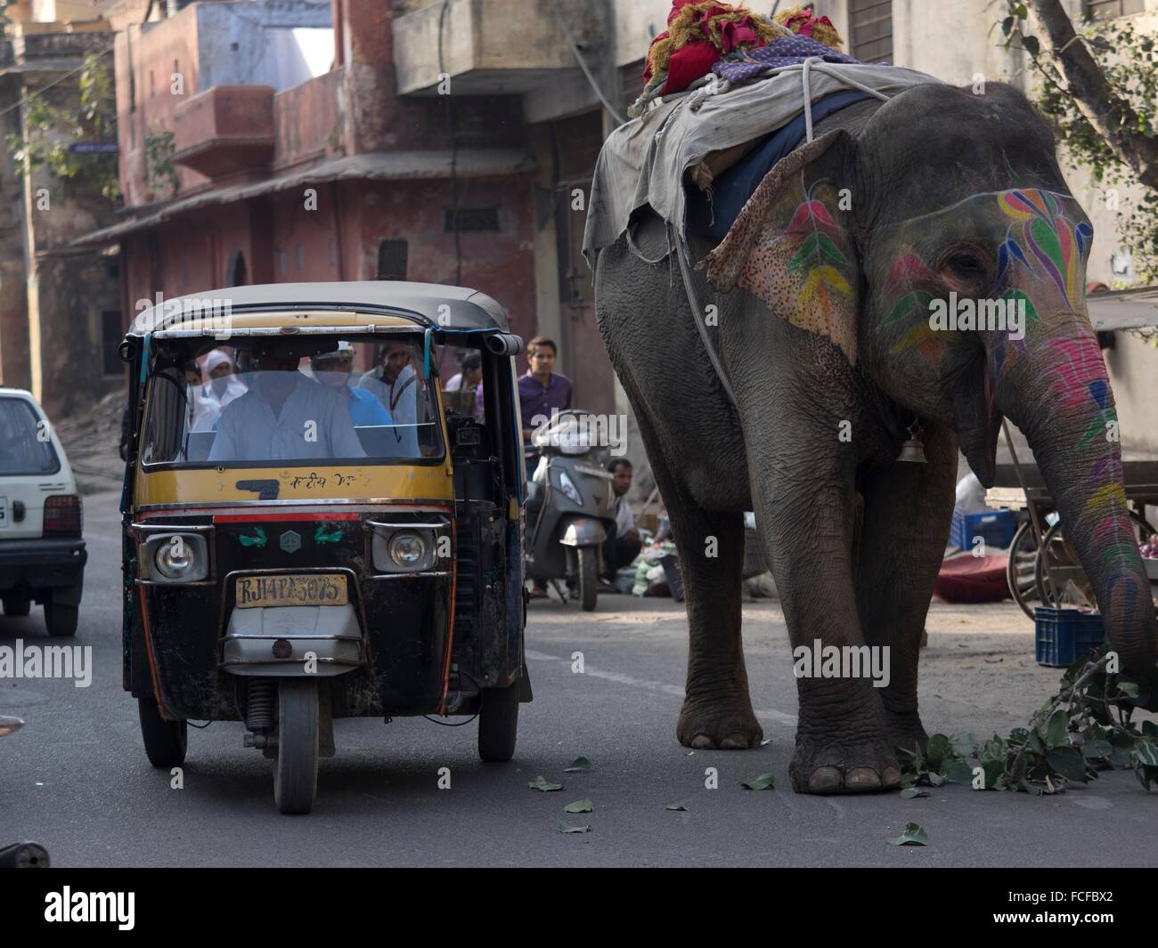 Indian man travelling on motorcycle hi-res stock photography and images ...