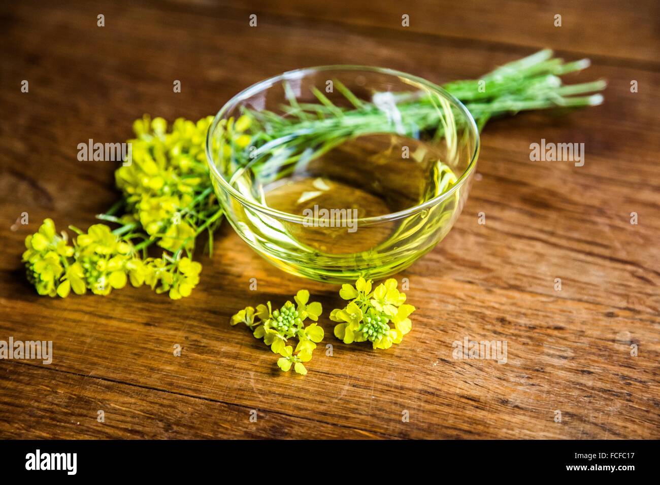 Colza oil hi-res stock photography and images - Alamy