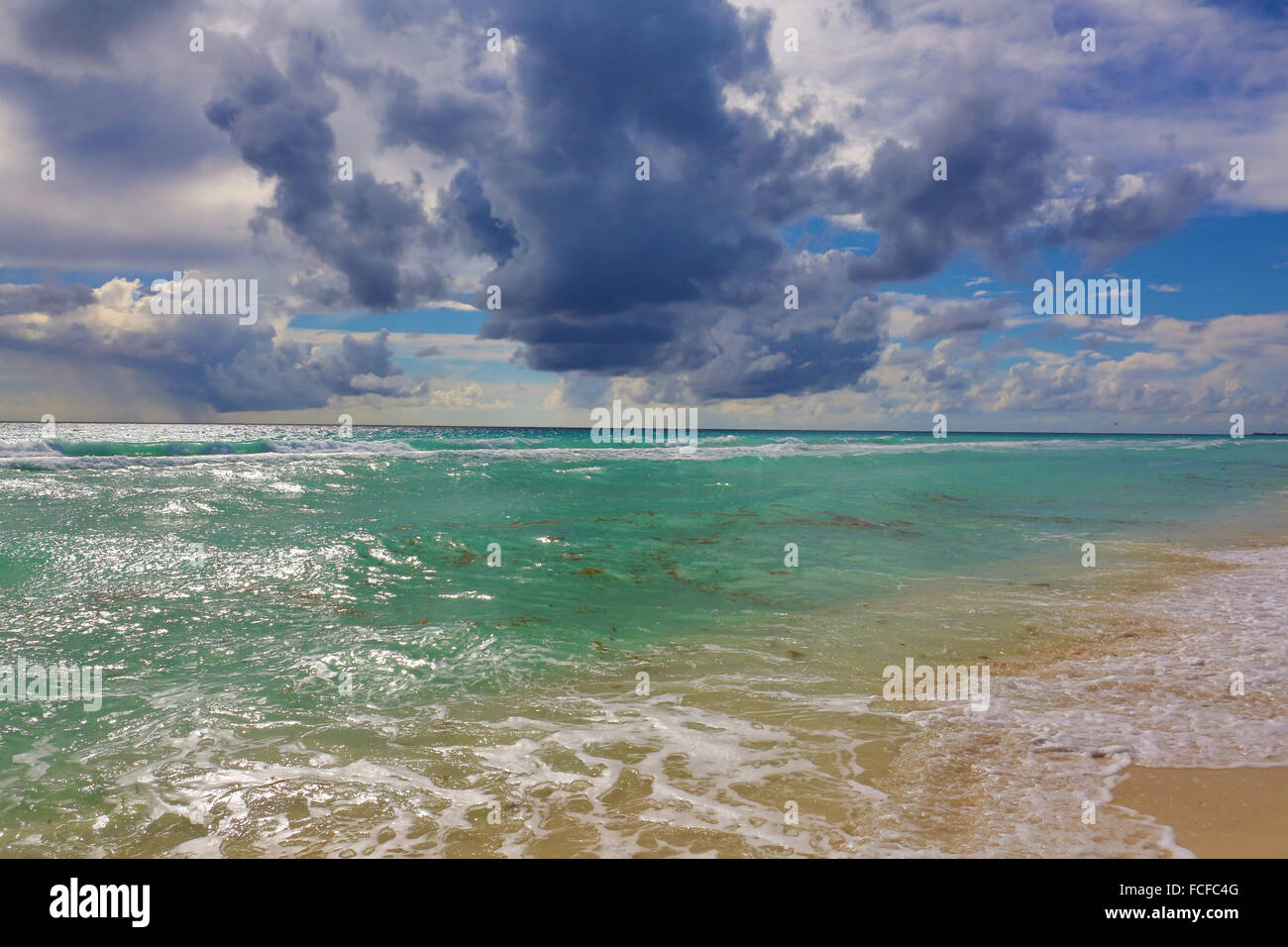 Deep blue sea and beach with seaweed at Cancun, Mexico Stock Photo - Alamy