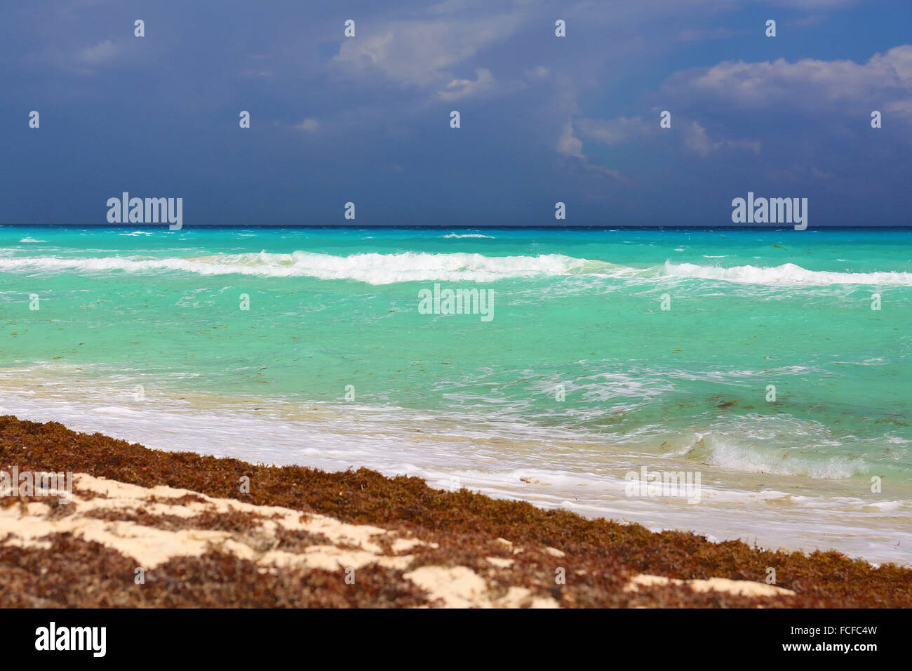 Deep blue sea and beach with seaweed at Cancun, Mexico Stock Photo - Alamy