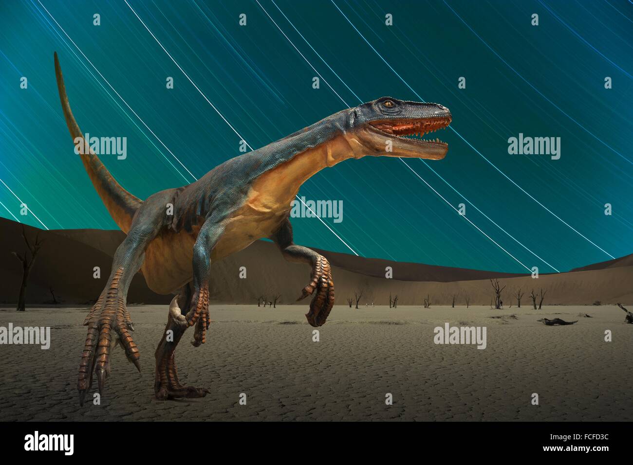 Living dinosaur hi-res stock photography and images - Alamy