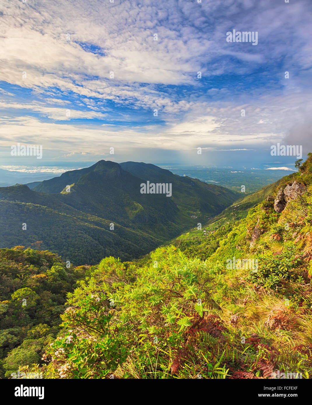 World’s End at morning. Horton Plains Stock Photo - Alamy