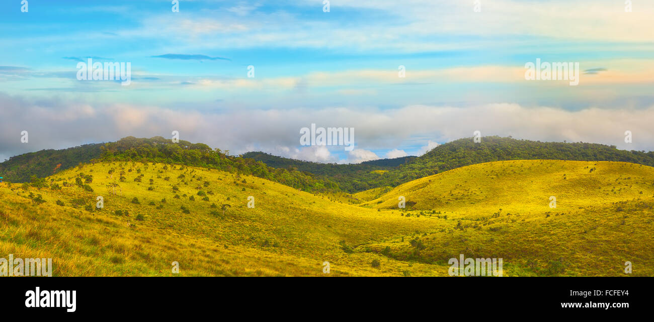 Horton plains national park hi-res stock photography and images - Alamy