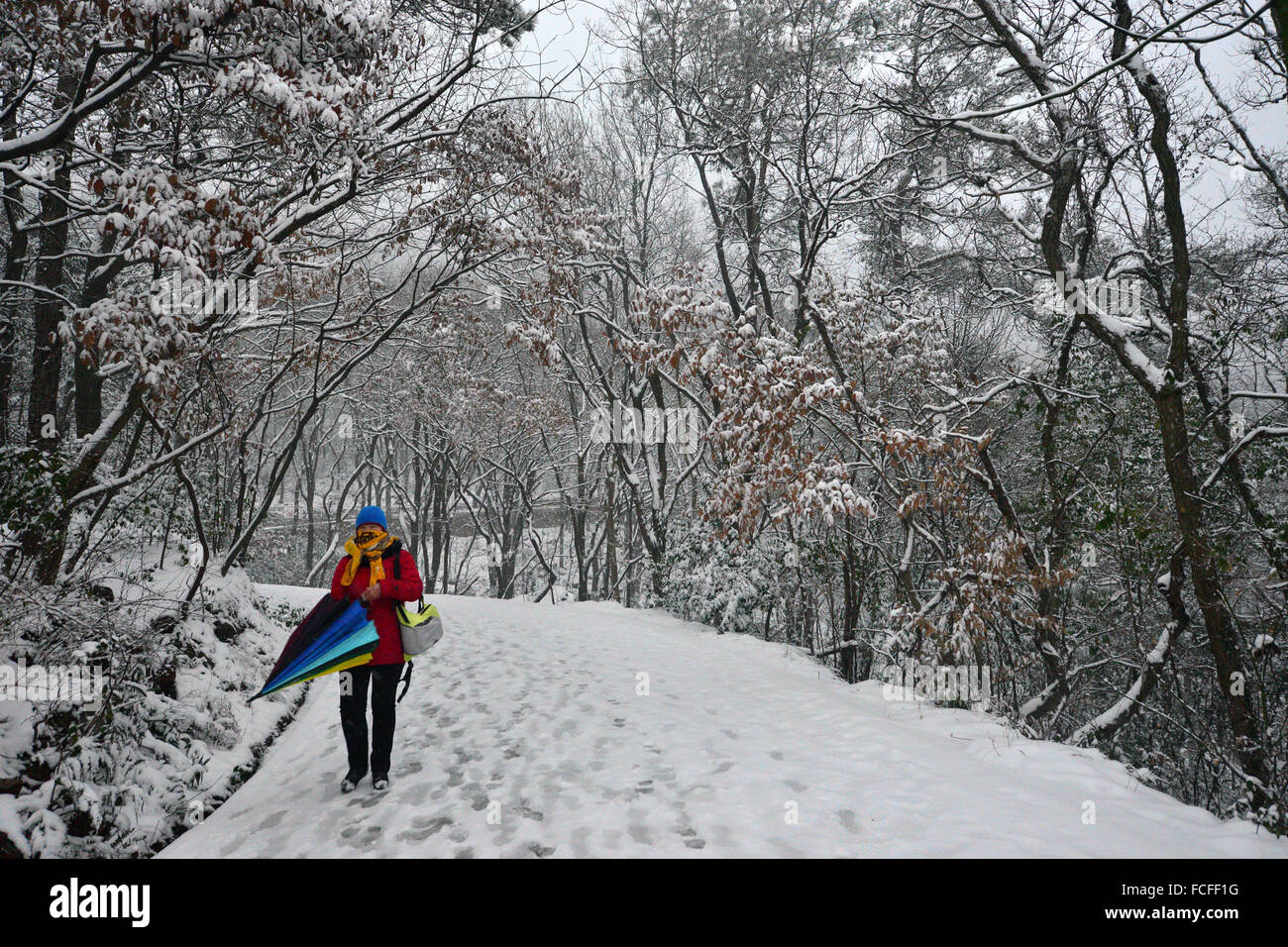 Nanjing, China's Jiangsu Province. 22nd Jan, 2016. A woman climbs a ...