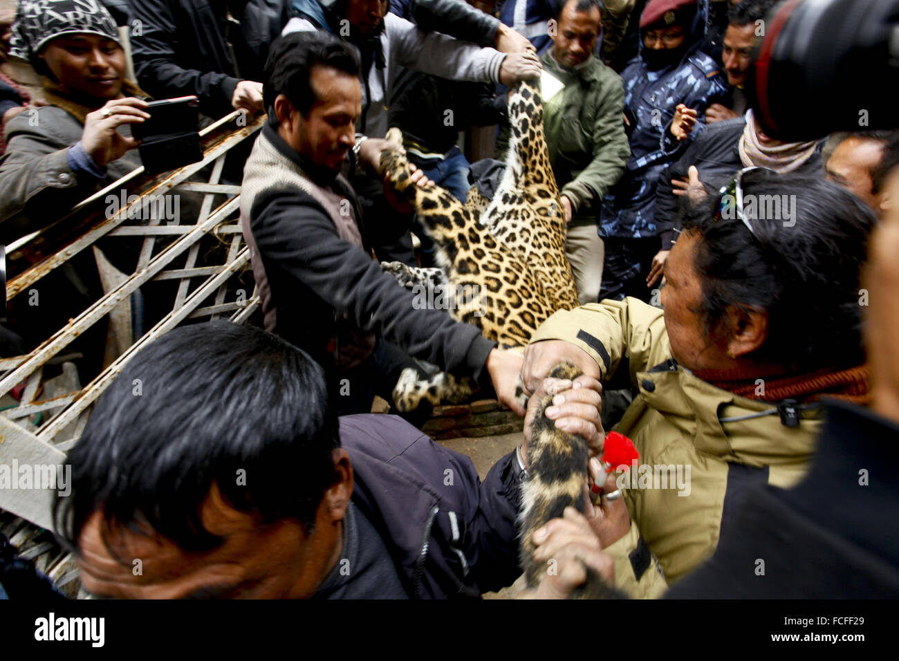 Cage from inside hi-res stock photography and images - Alamy
