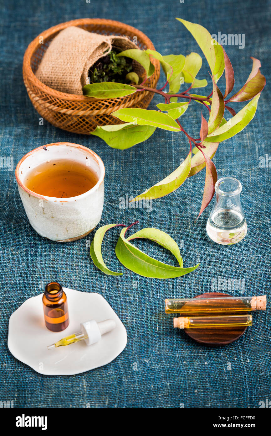 Ravintsara hi-res stock photography and images - Alamy