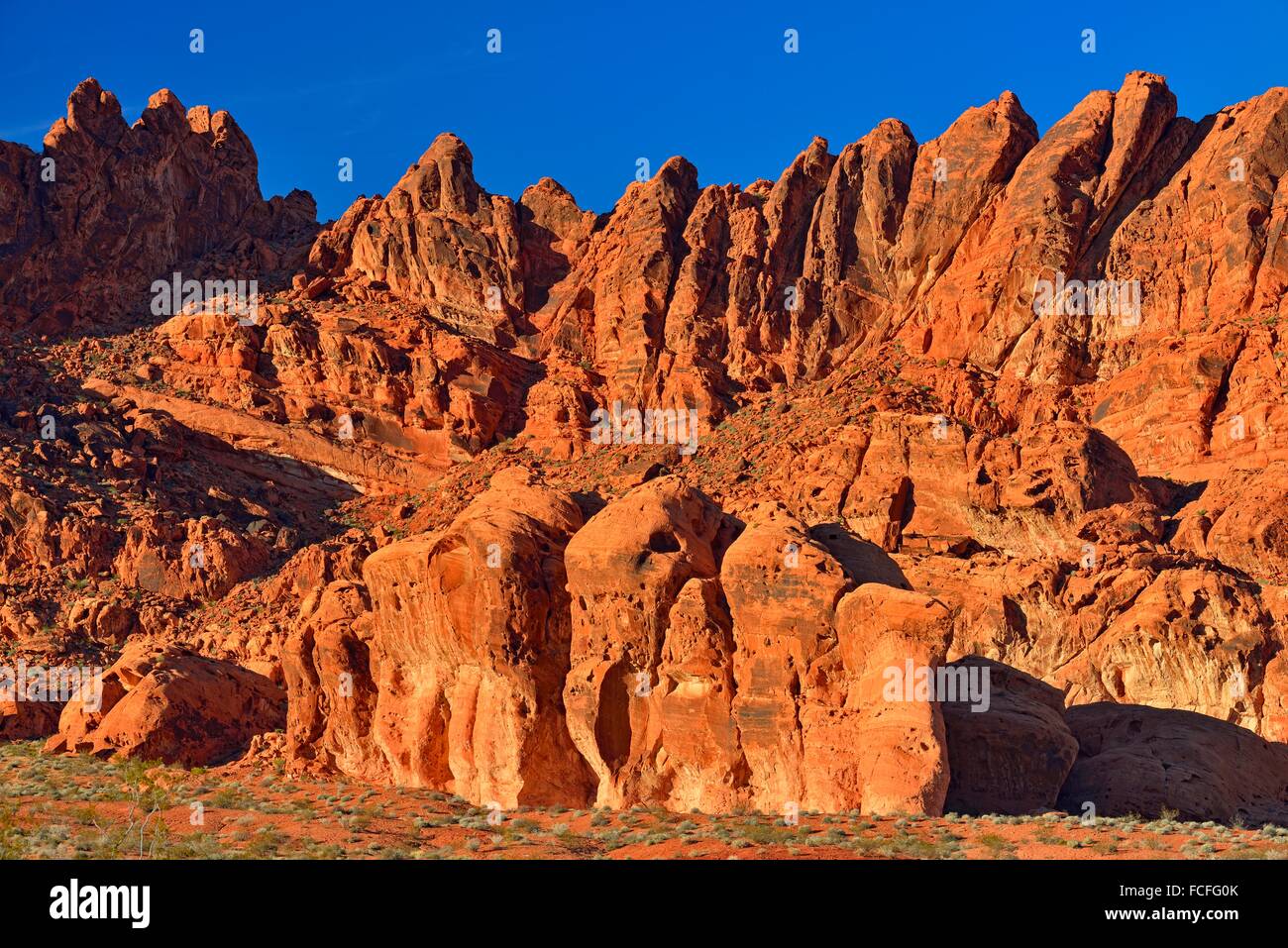 Marginal ecosystem hi-res stock photography and images - Alamy