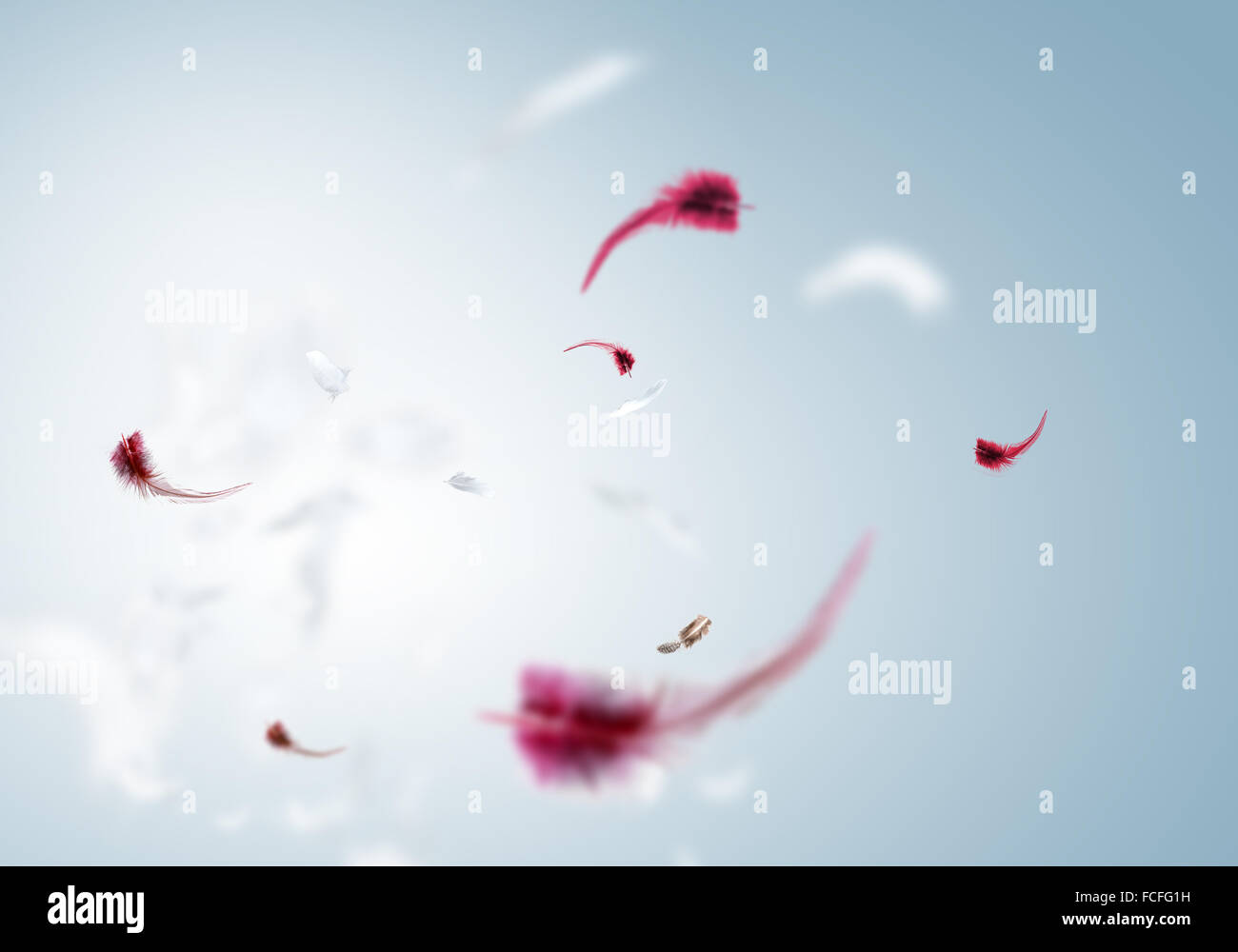 Abstract background image of white feathers flying in air Stock Photo ...