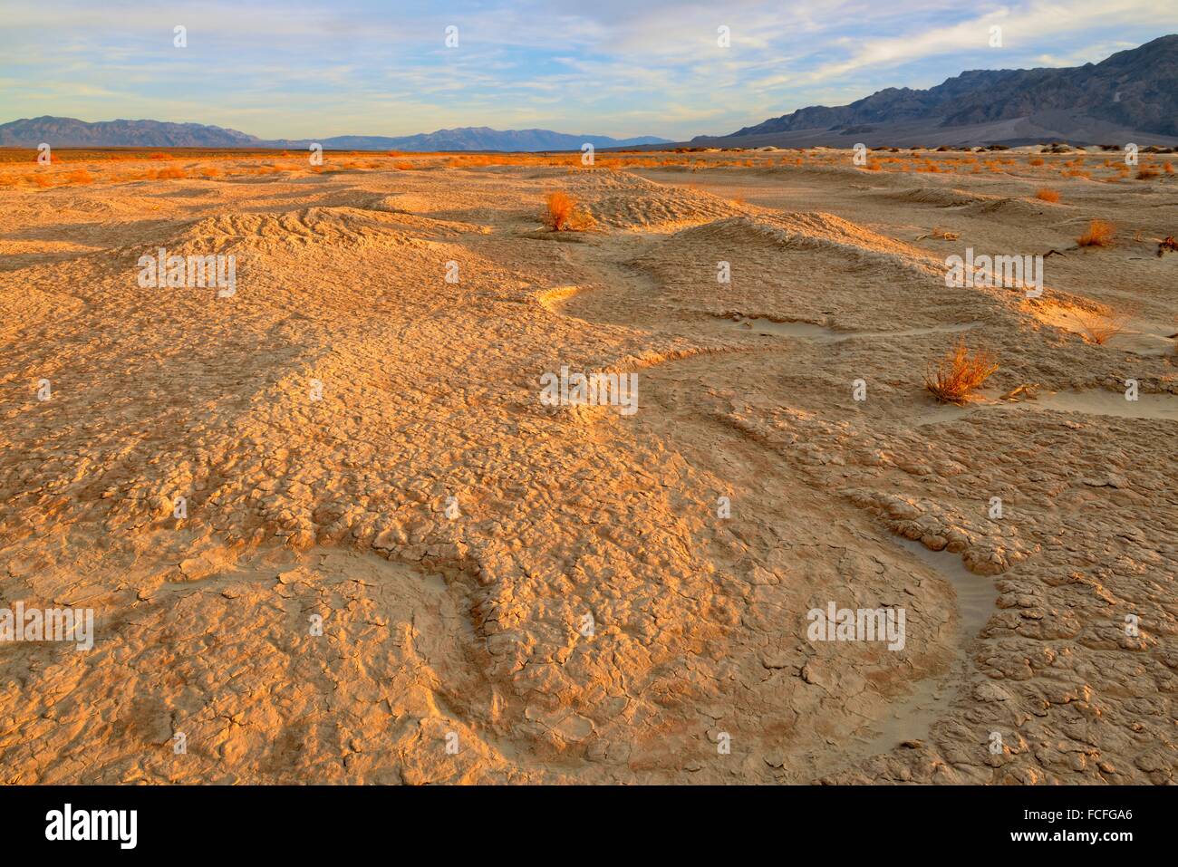 Hardpan desert hi-res stock photography and images - Alamy