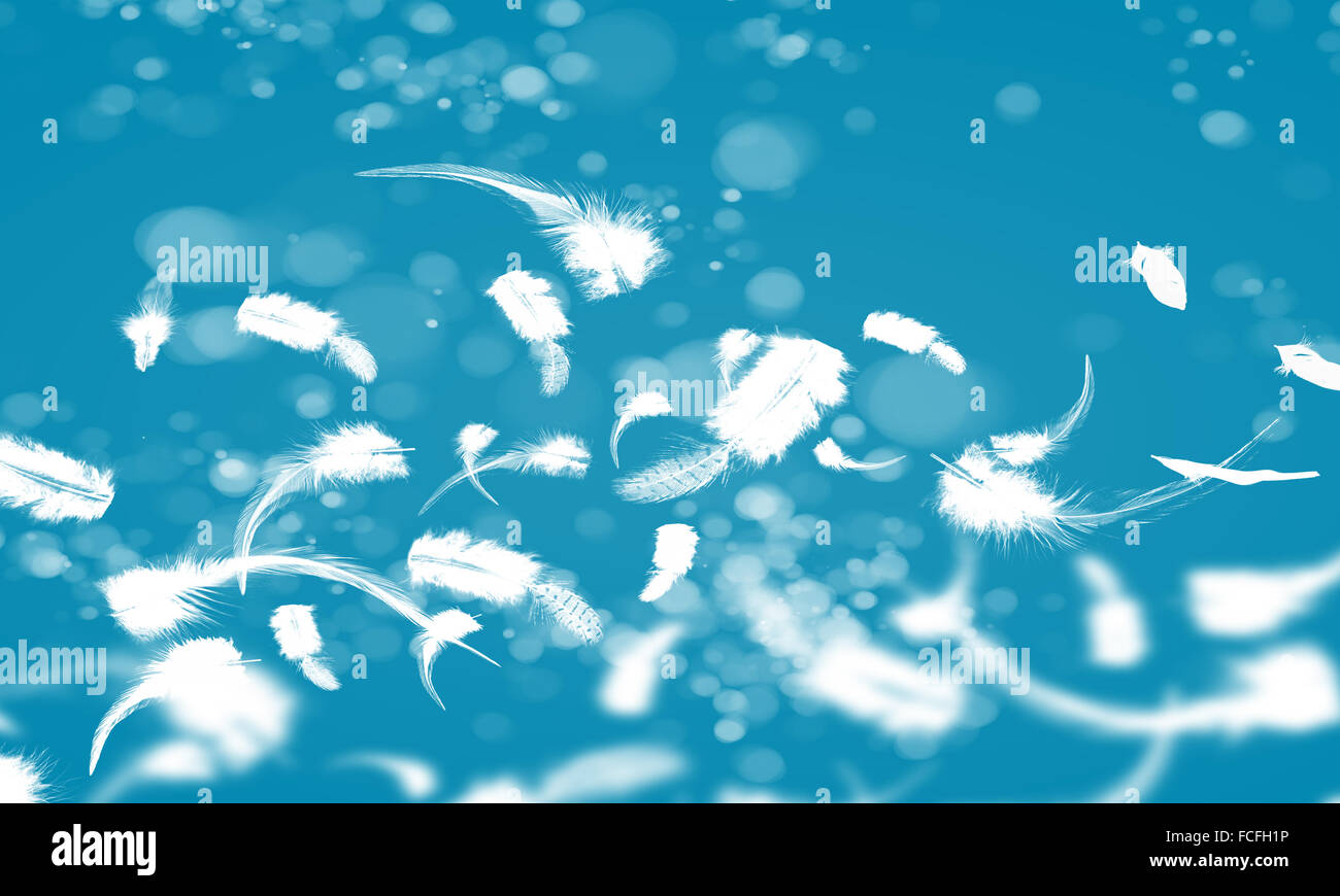 Feathers falling sky hi-res stock photography and images - Alamy