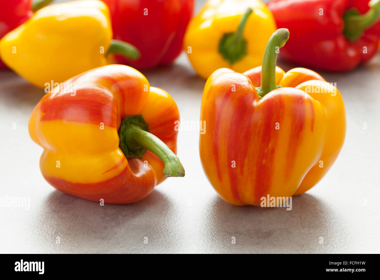 Unusual species hi-res stock photography and images - Alamy