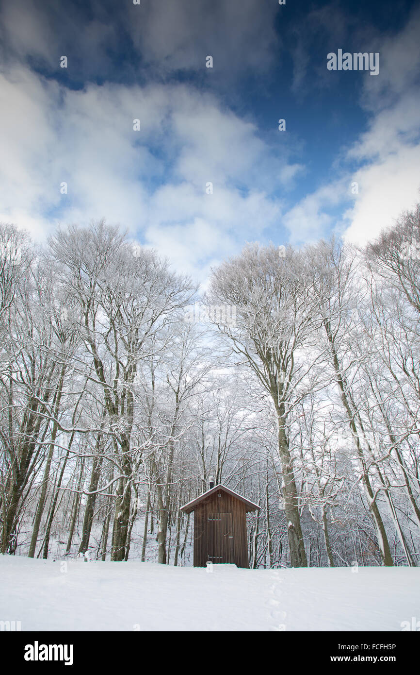 Winter landscapes near Varberg, Sweden. Photos show ice covered trees ...
