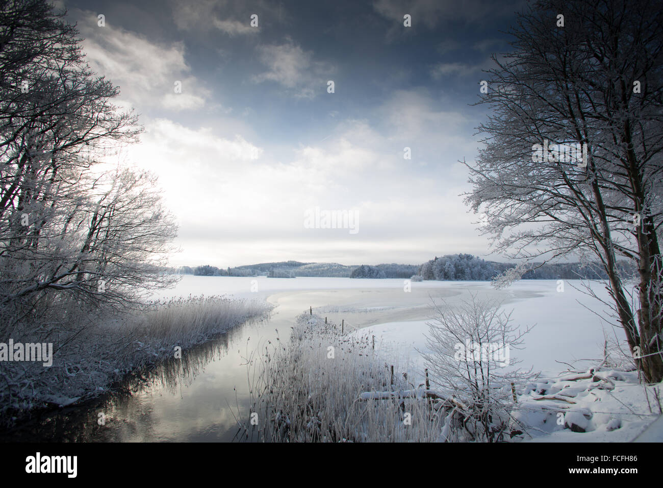 Winter landscapes near Varberg, Sweden. Photos show ice covered trees ...