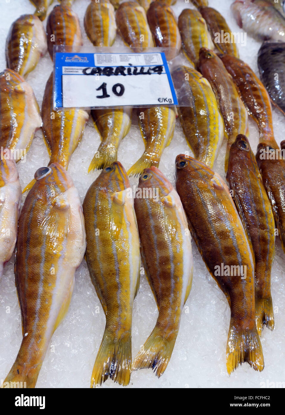 Cabrilla High Resolution Stock Photography and Images - Alamy