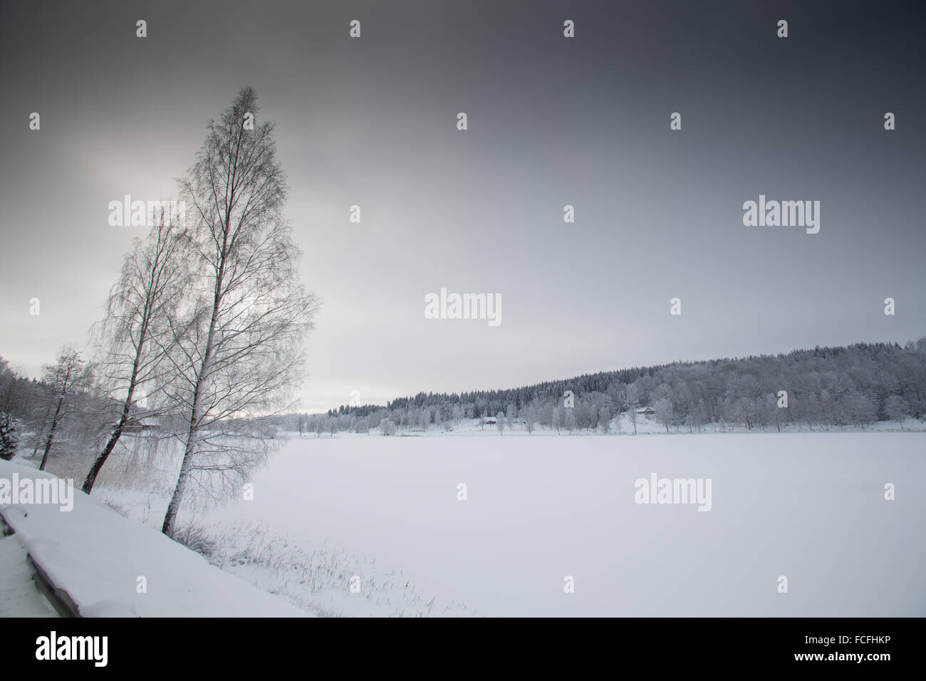 Winter landscapes near Varberg, Sweden. Photos show ice covered trees ...