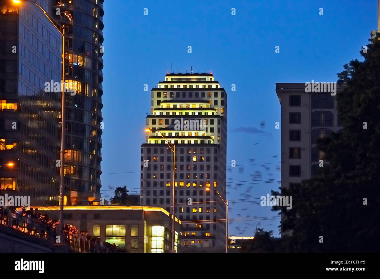 Austin high rise buildings and flocks of emerging bats, Austin, Texas ...