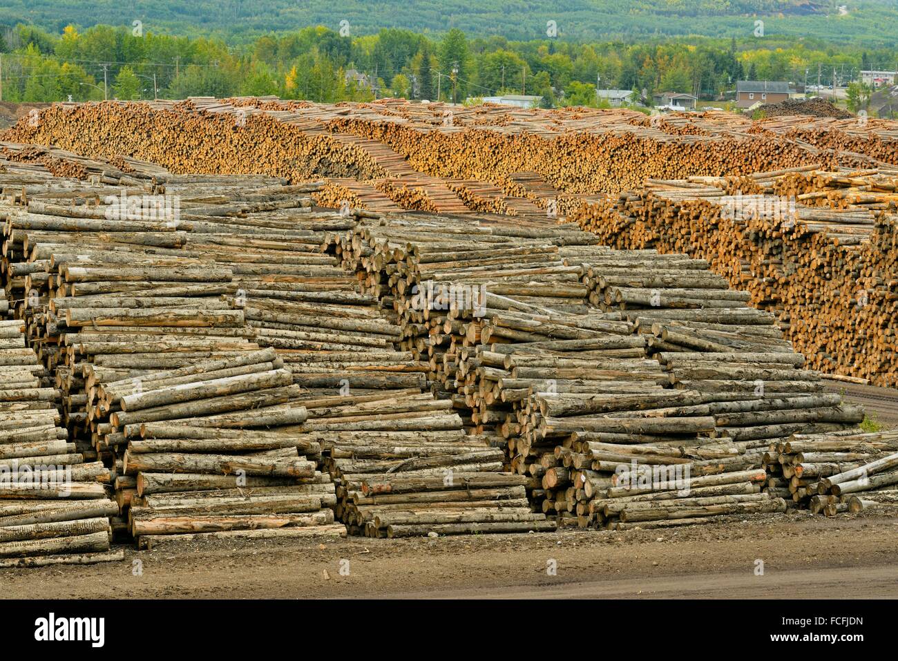 Pulp processing hi-res stock photography and images - Alamy