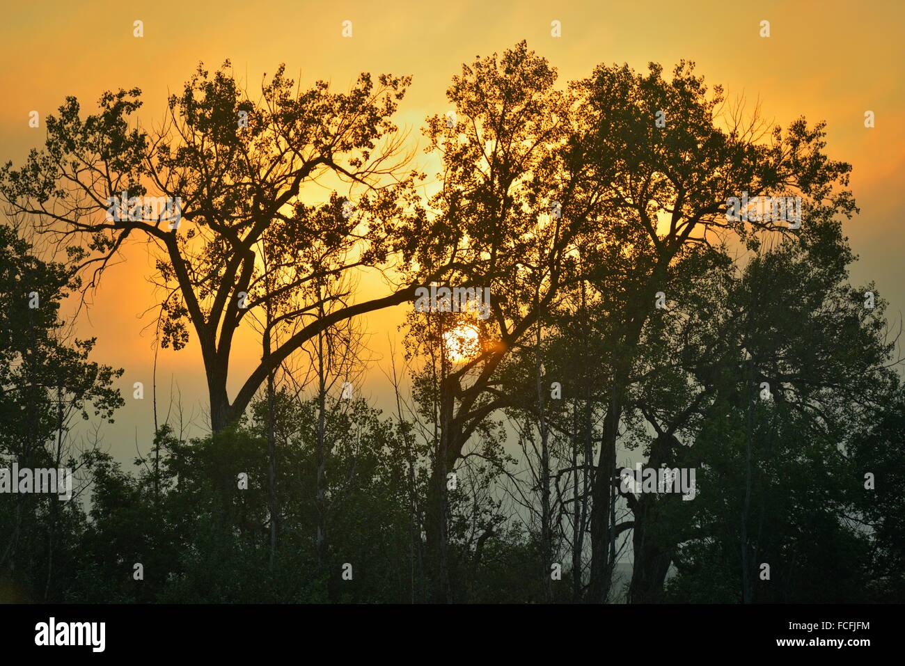 Estevan saskatchewan hi-res stock photography and images - Alamy