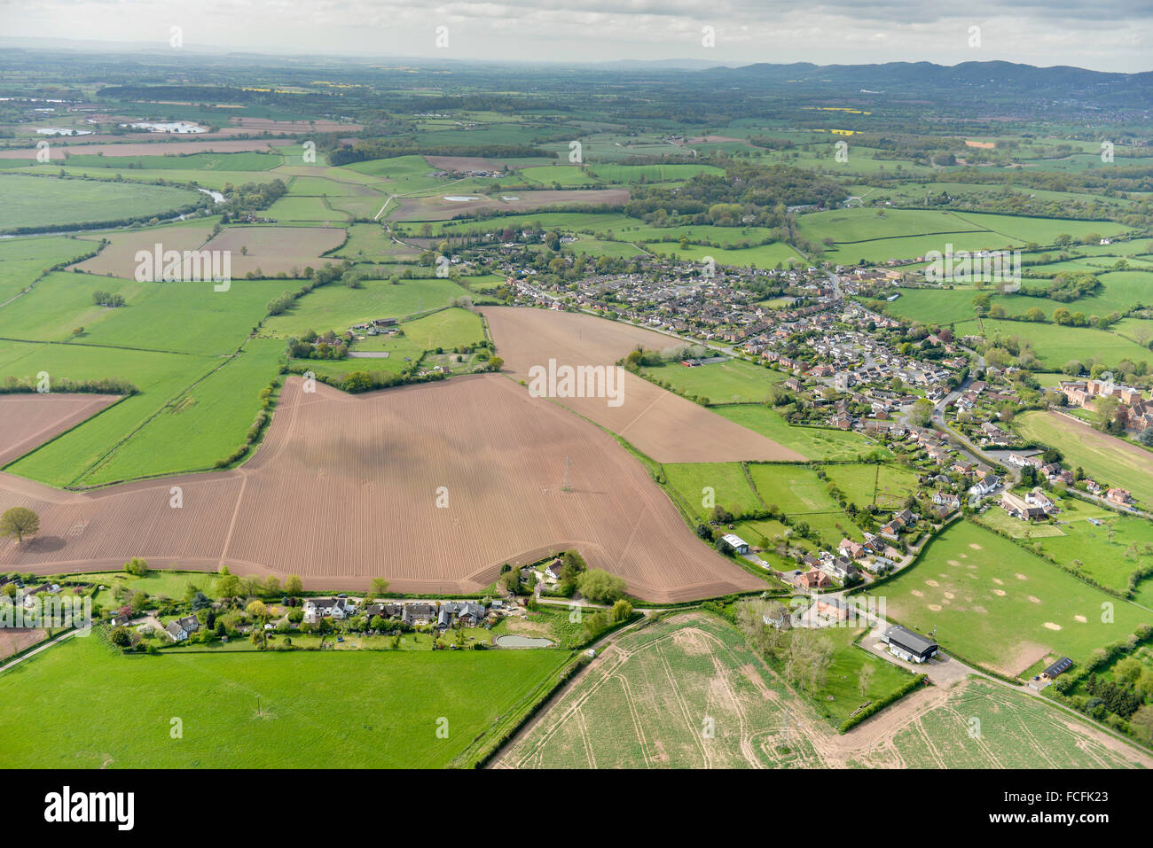Callow hi-res stock photography and images - Alamy