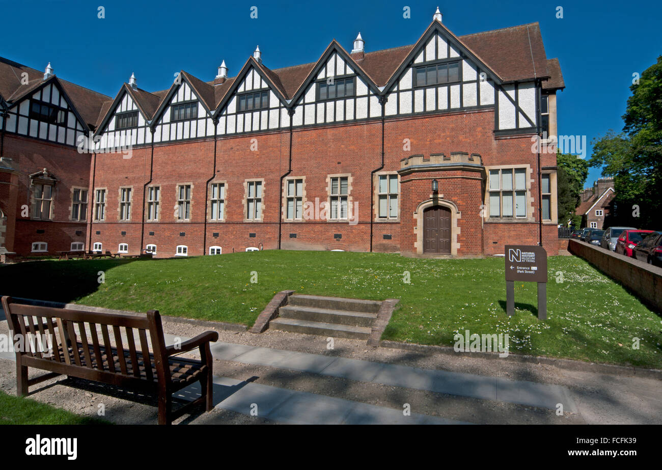 Natural History Museum, Tring, Hertfordshire Stock Photo - Alamy Natural History Museum, Tring, Hertfordshire Stock Photo - Alamy