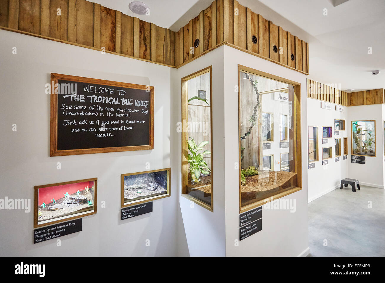 The inside of the tropical bug house on Bug farm near St Davids ...