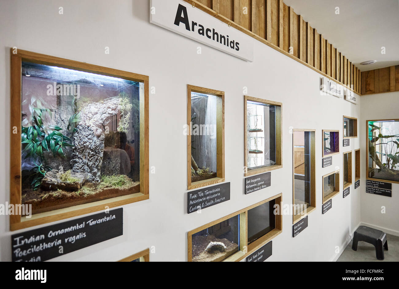 The inside of the tropical bug house on Bug farm near St Davids ...