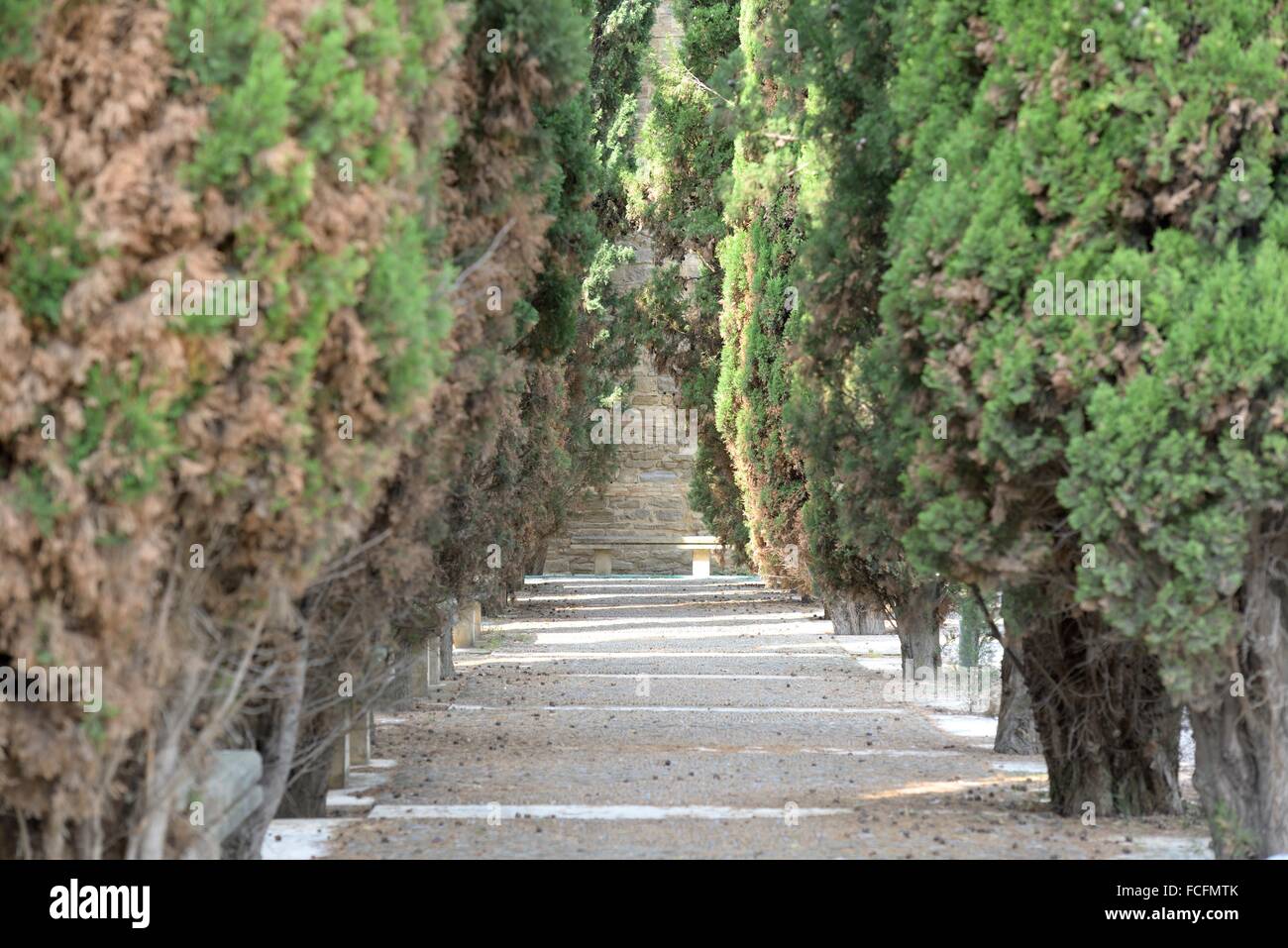 Monastery rooms hi-res stock photography and images - Alamy