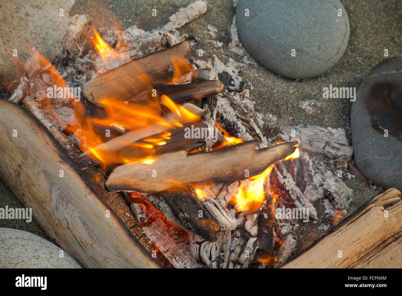 Survivors beach hi-res stock photography and images - Alamy