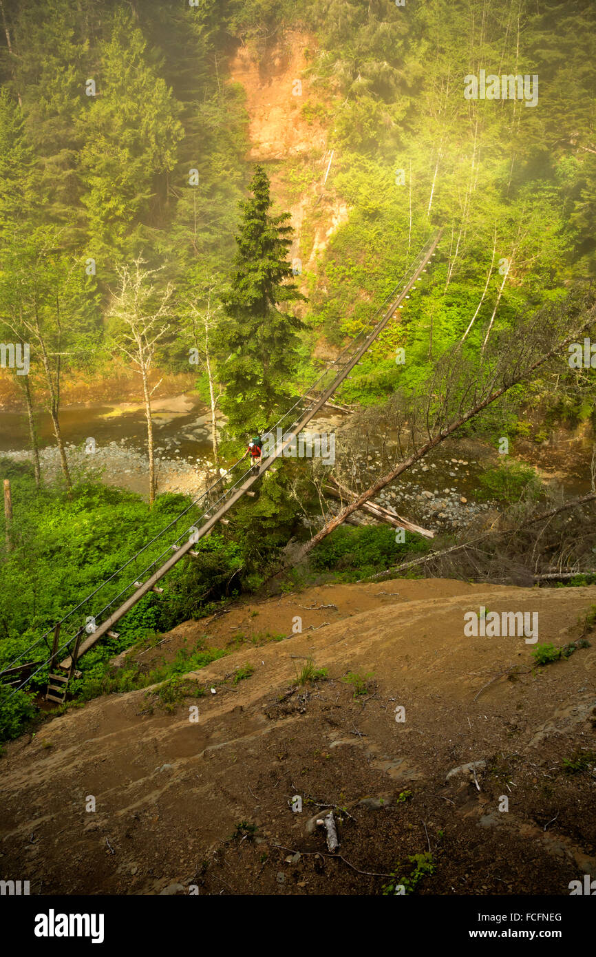 Bc suspension bridge hi-res stock photography and images - Alamy