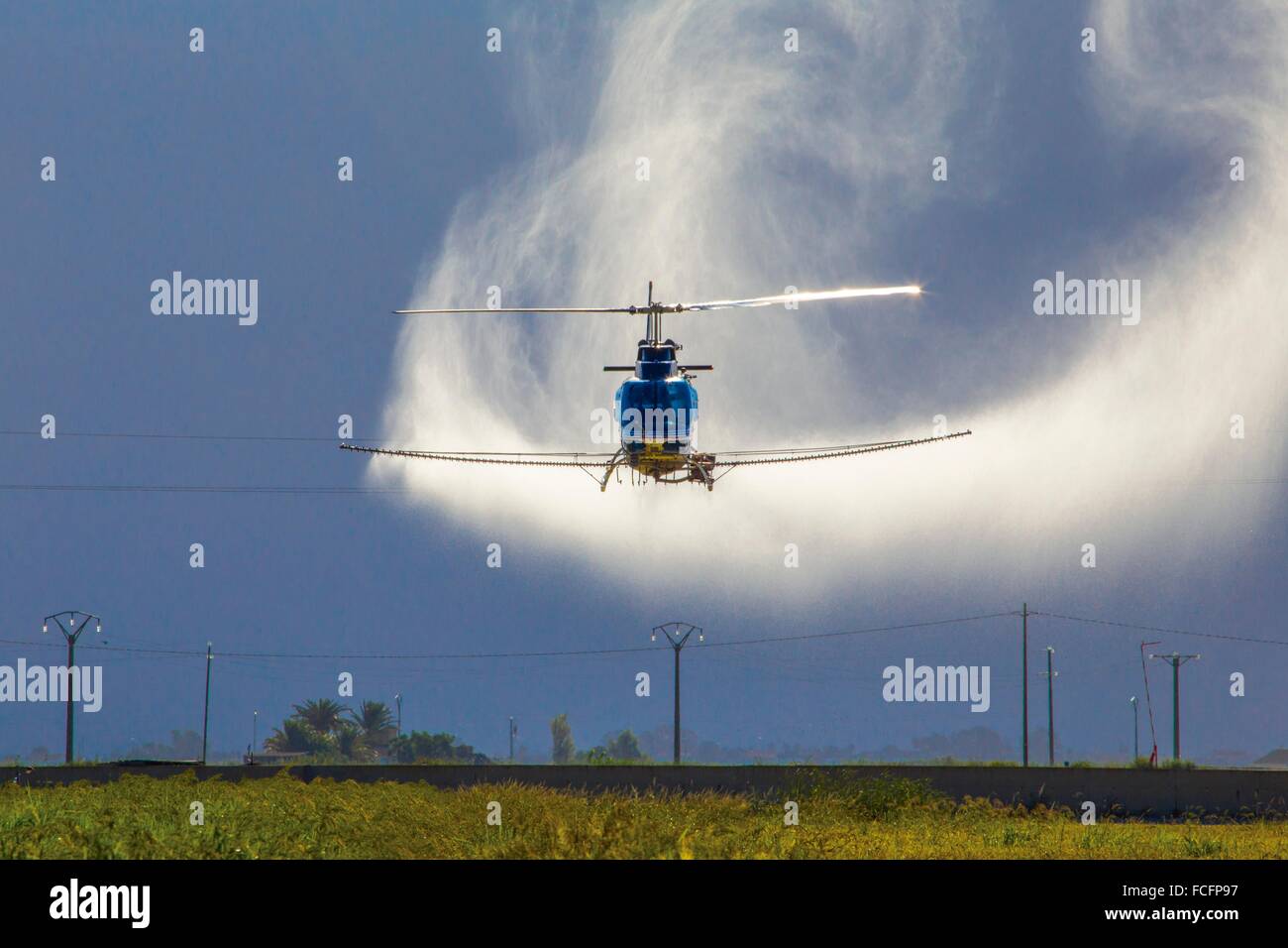 Crop-dusting helicopter spraying in the Ebro Delta Stock Photo - Alamy