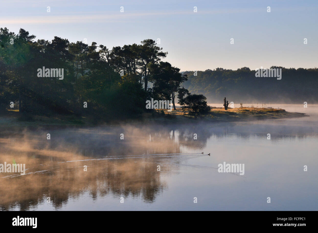 Forest of Paimpont, also known as the Forest of Broceliande: large pond ...