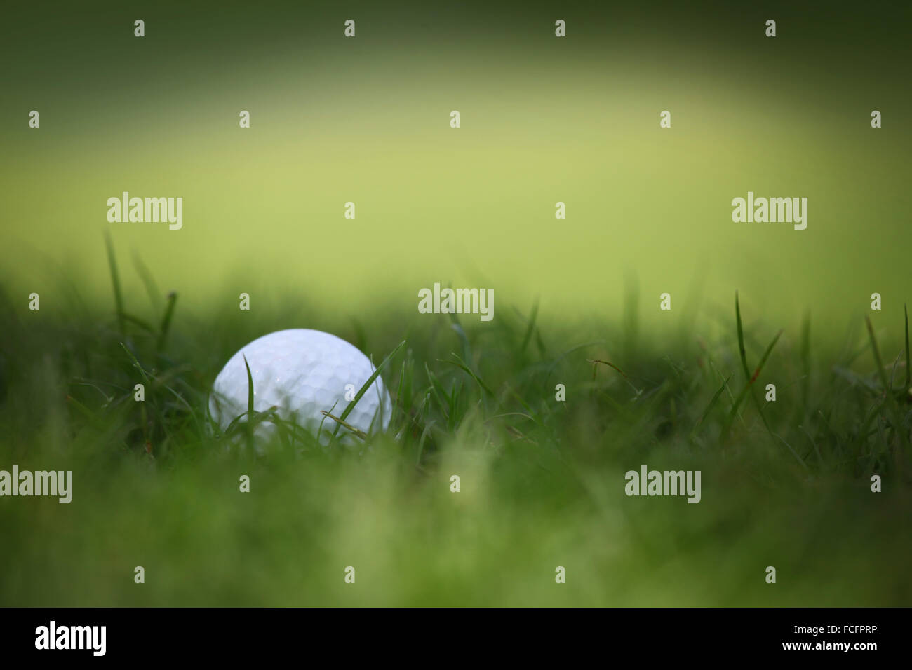 Macro of a golf ball in natural grass of golf course Stock Photo - Alamy