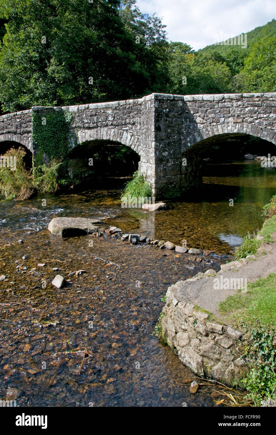 Fingle Bridge crossing the River Teign, Dartmoor Stock Photo - Alamy