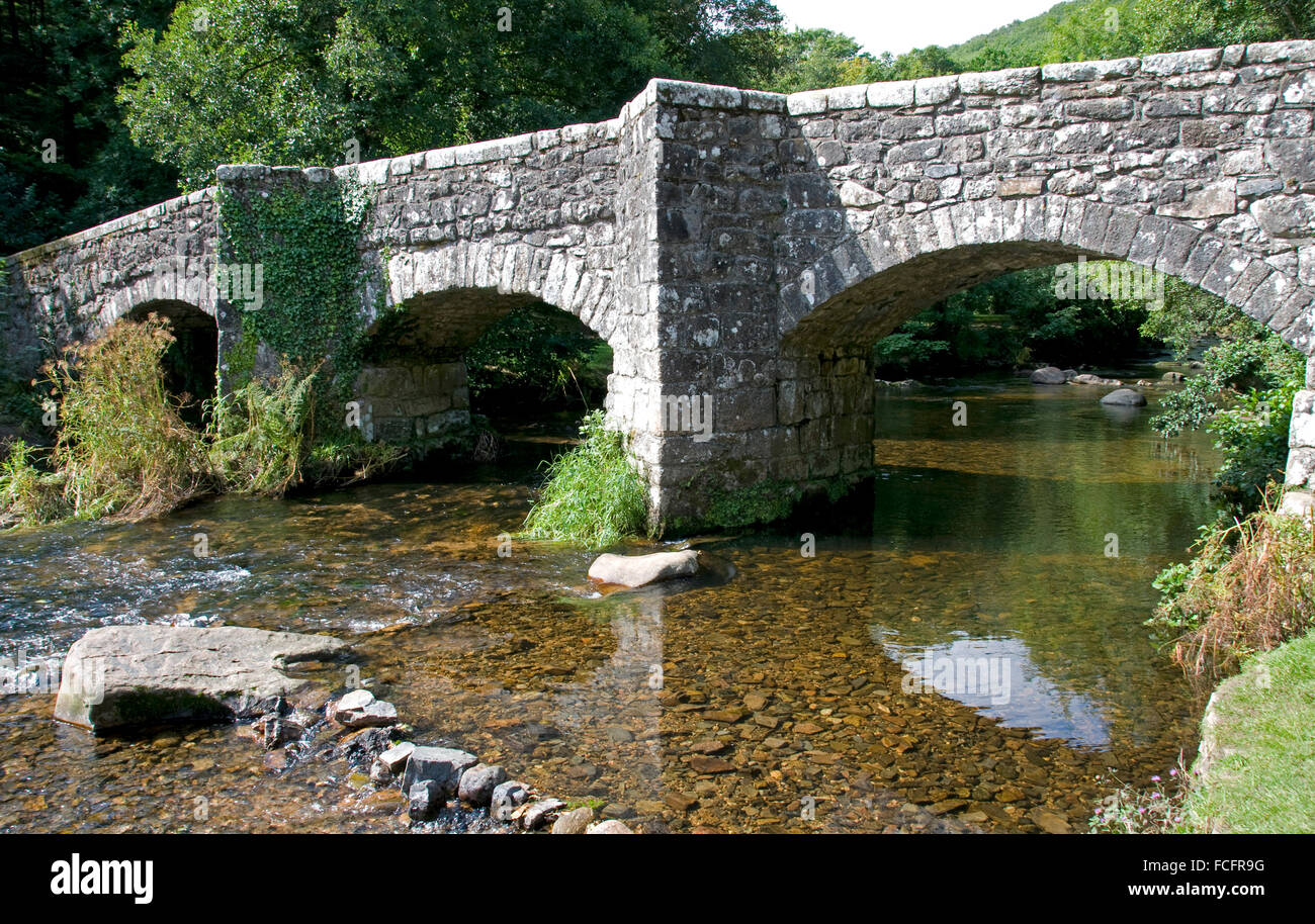 Fingle Bridge crossing the River Teign, Dartmoor Stock Photo - Alamy