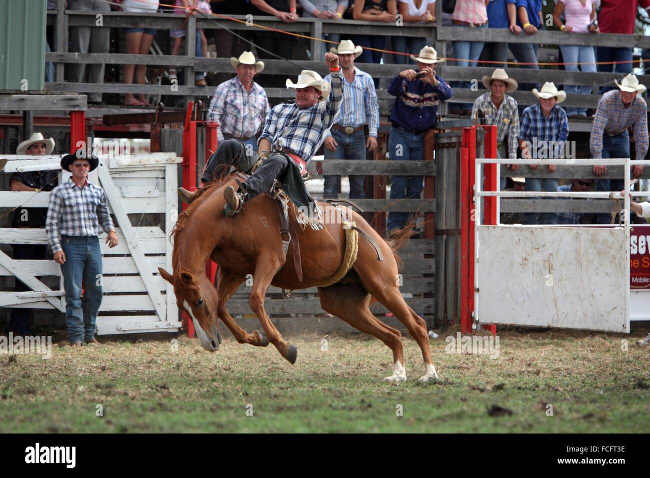 Australian farmer horse hi-res stock photography and images - Alamy