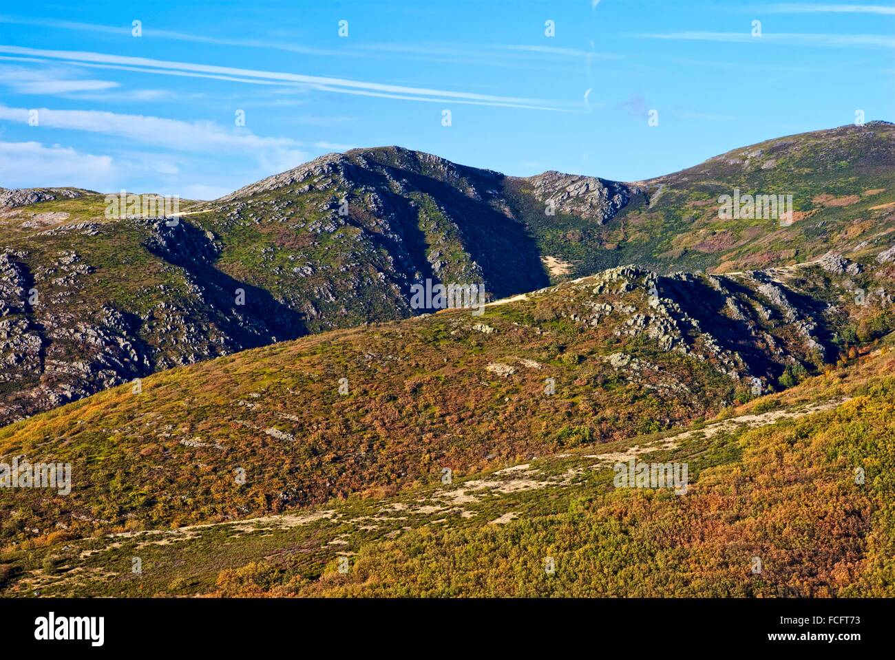 Hayedo de pedrosa hi-res stock photography and images - Alamy