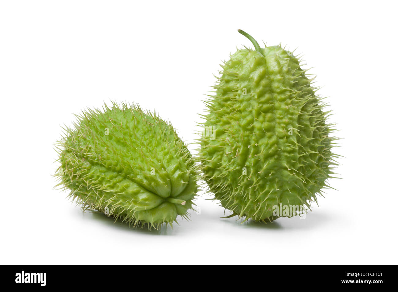 Spiny fruit hi-res stock photography and images - Alamy