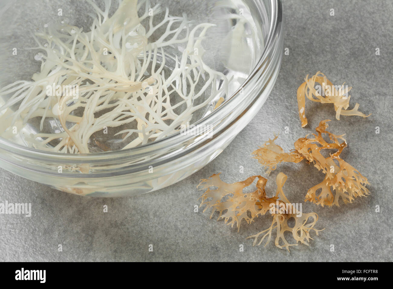 Soaked irish moss in a bowl Stock Photo - Alamy